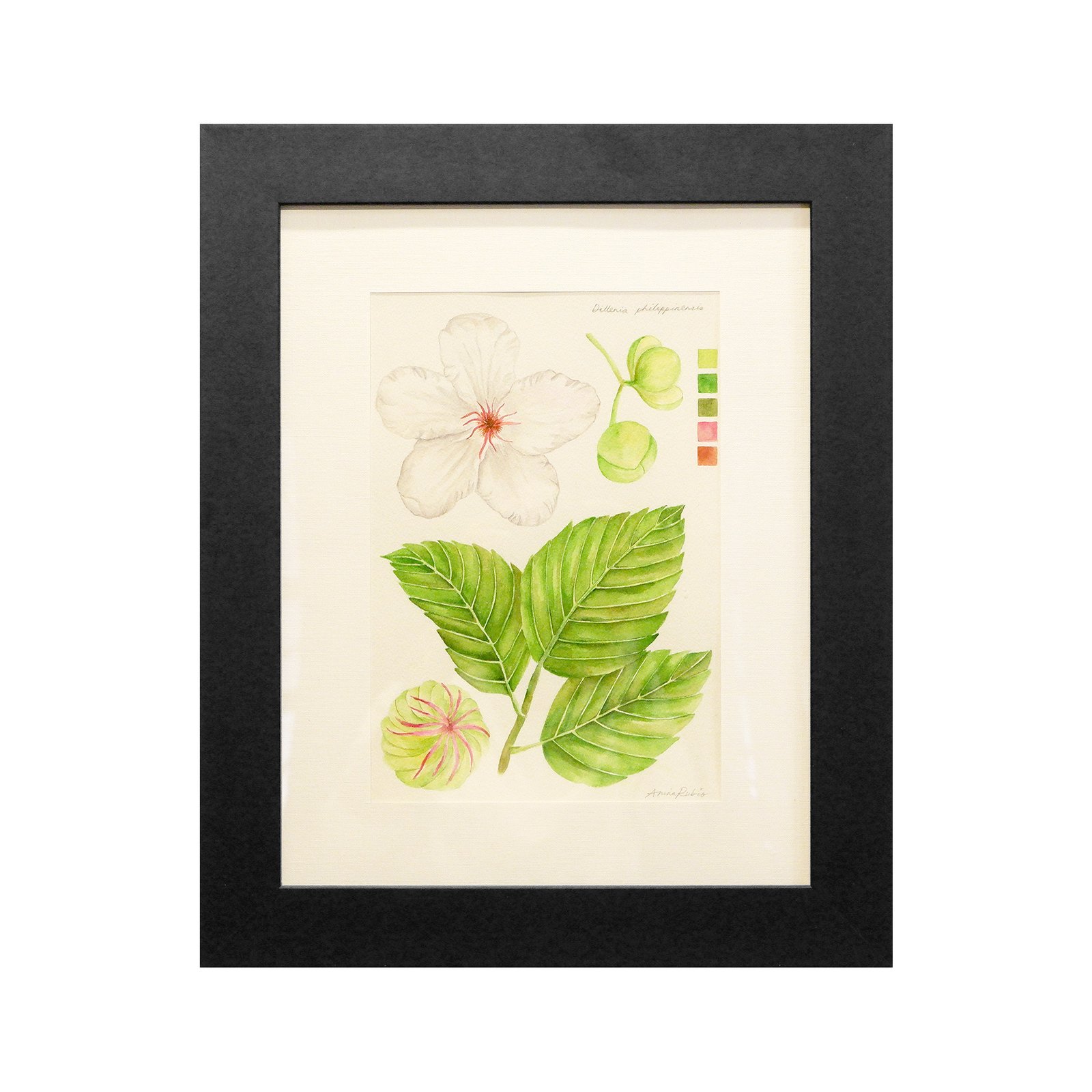 Altro Mondo · Creative SpaceKatmon (Philippine trees series) | Altro ...
